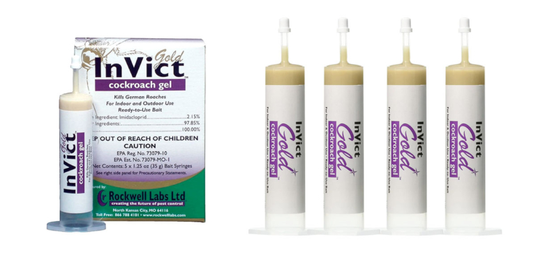 Cucaracha Alemana: 】- ¿Cómo controlar esta plaga?