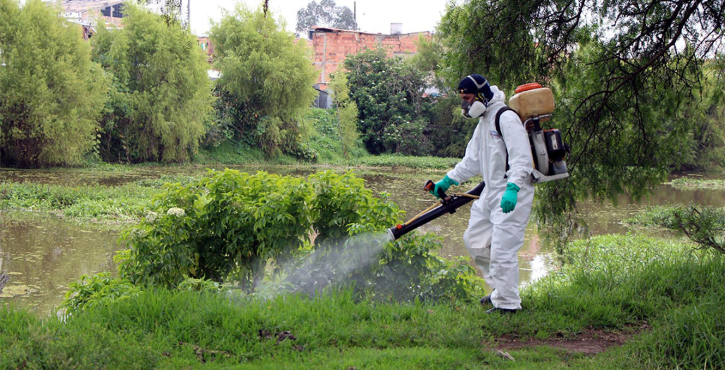 Fumigaciones de parques jardines y árboles en Monterrey 】