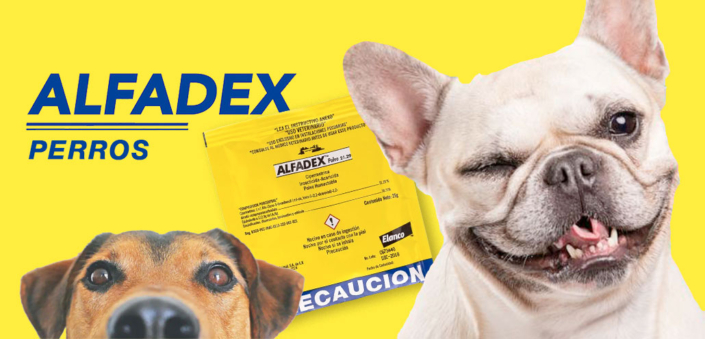 【Alfadex Insecticida antiparásitos】 Todo lo que debes saber